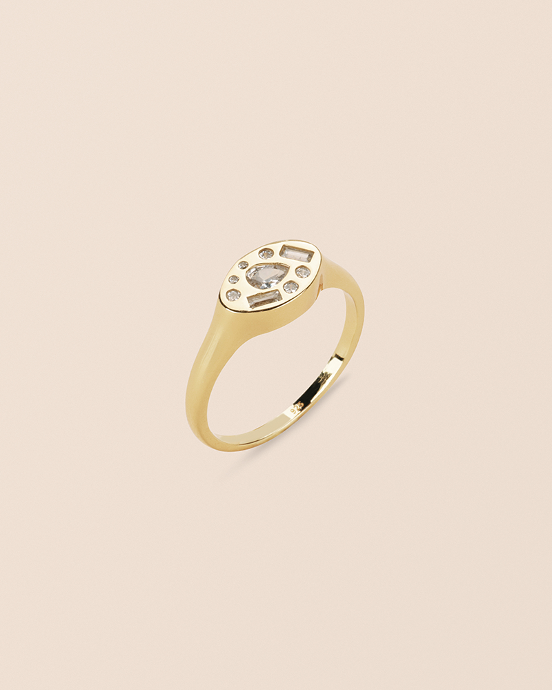 Mixed Stone Signet Ring– Jacys Mifv